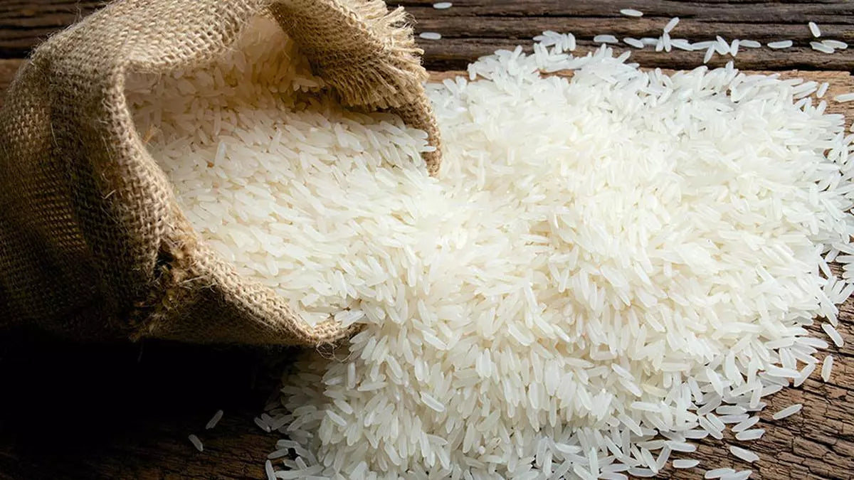 Organic Rice– Maven Wholefoods